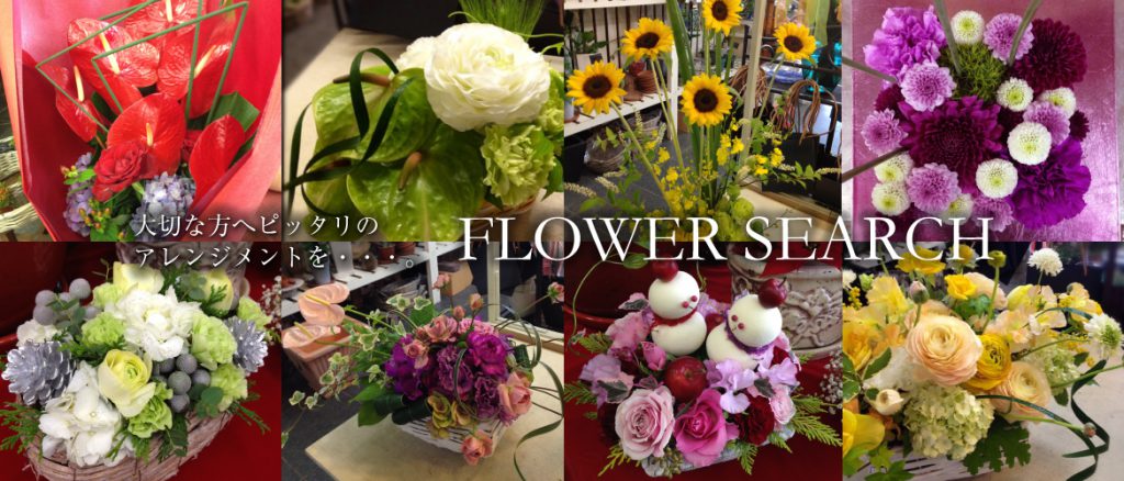 FLOWER SEARCH | HANAUTA
